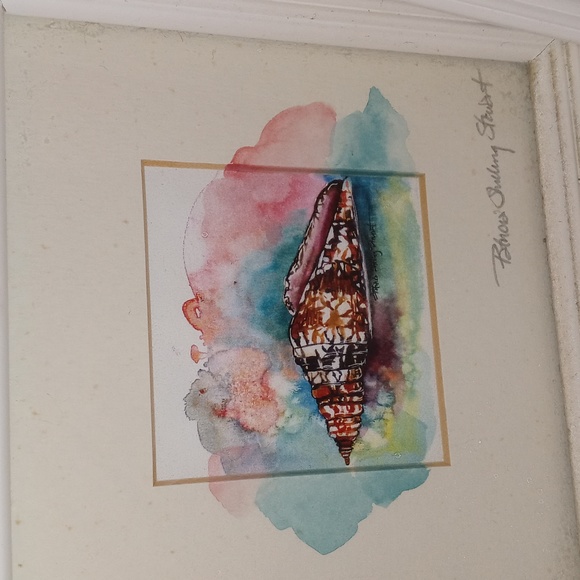 Art | Framed Signed Art Sea Shells Watercolor | Poshmark
